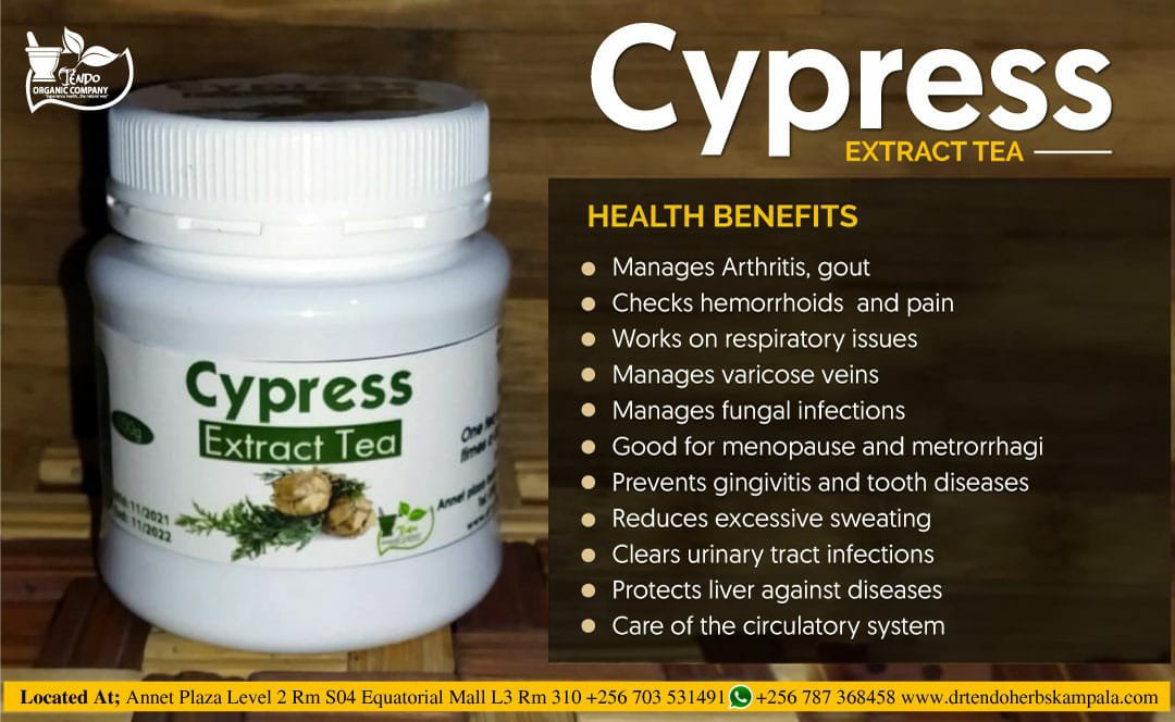 Cypress Extract Tea – Dr Tendo Herbs
